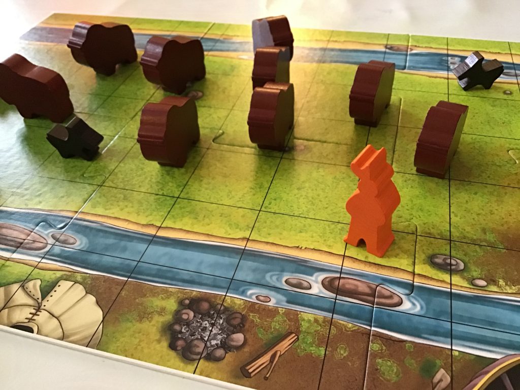 Bison (5 – Plateau Marmots