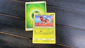 Pokemon (48) – Plateau Marmots